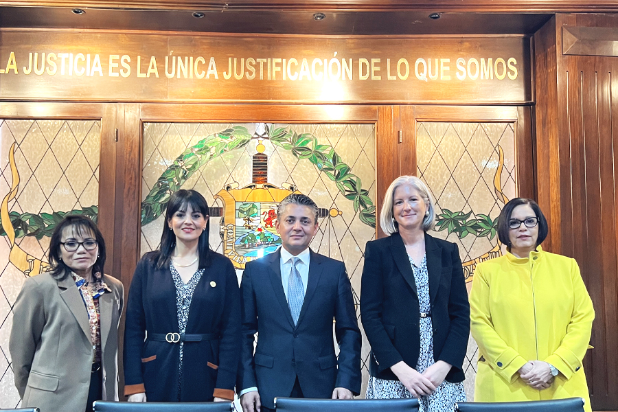 Se materializa el proyecto de tipificación del delito de acecho en ...